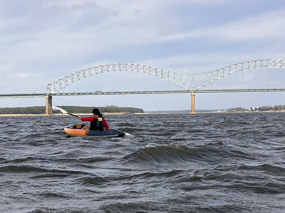 Memphis Flyer | The Fight for the Wetlands