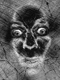 Memphis Flyer | Boo Who?