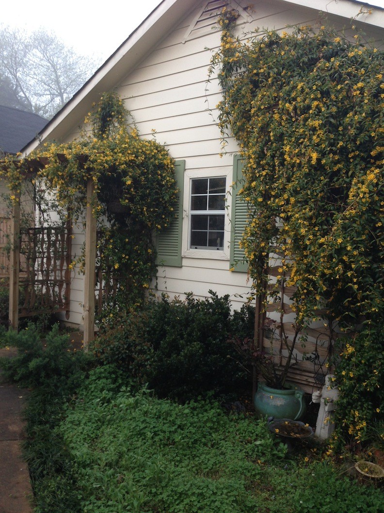 Memphis Flyer | Fog in Memphis