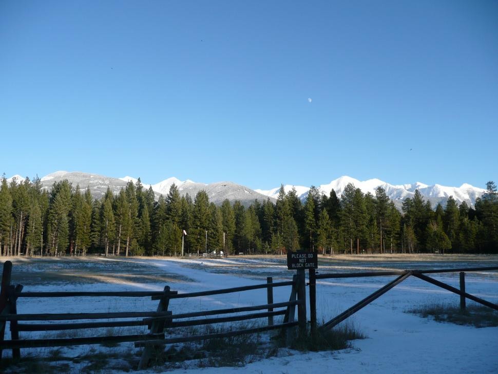 Memphis Flyer | Go Griz, Western Style