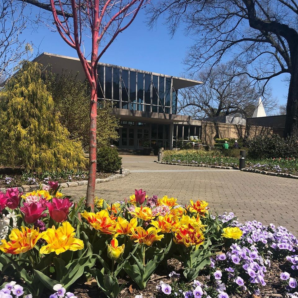 Memphis Flyer | Memphis Botanic Gardens Reopens to Members